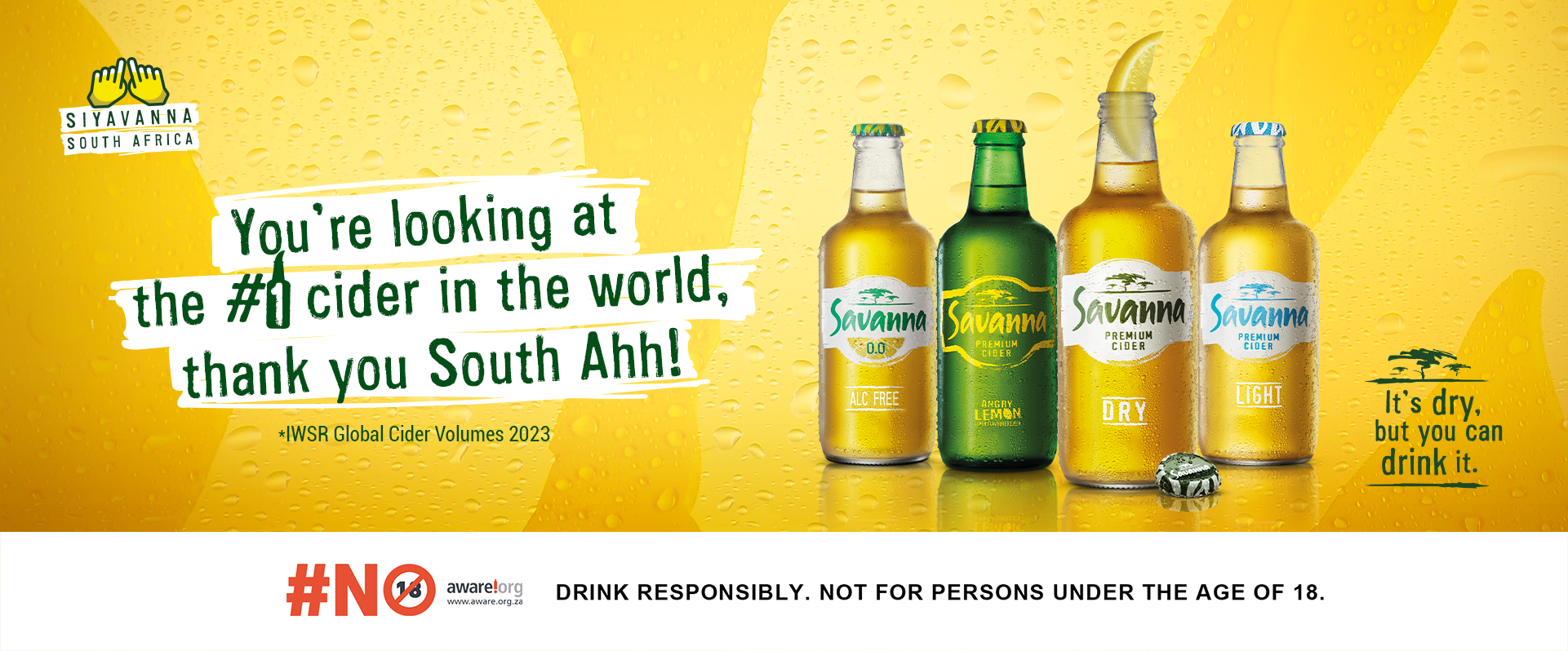 Savanna Advert Quotes Fixing Dumb Inspirational Quotes | Ben Leander