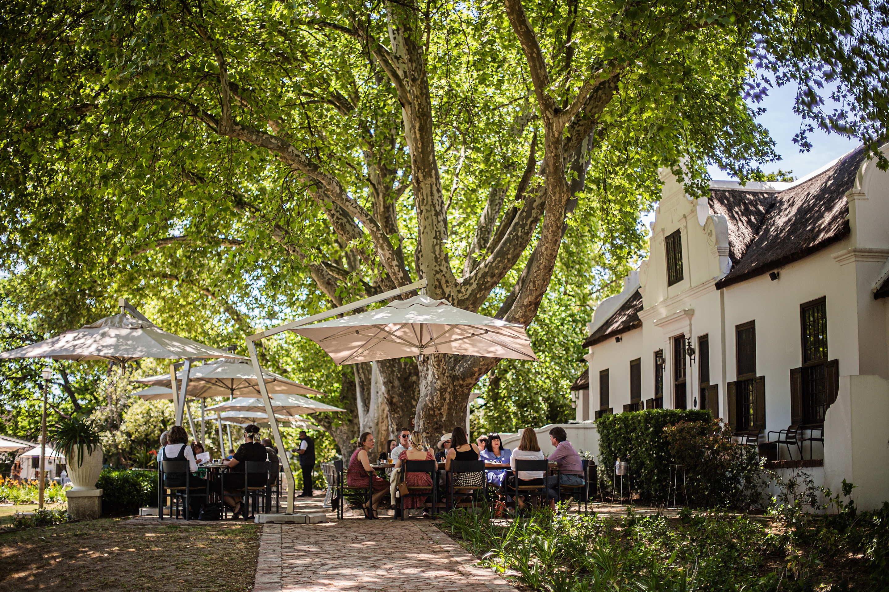 Nederburg Wine Estate Wedding Nederburg Wine Farm 2025 | Www.edv.no